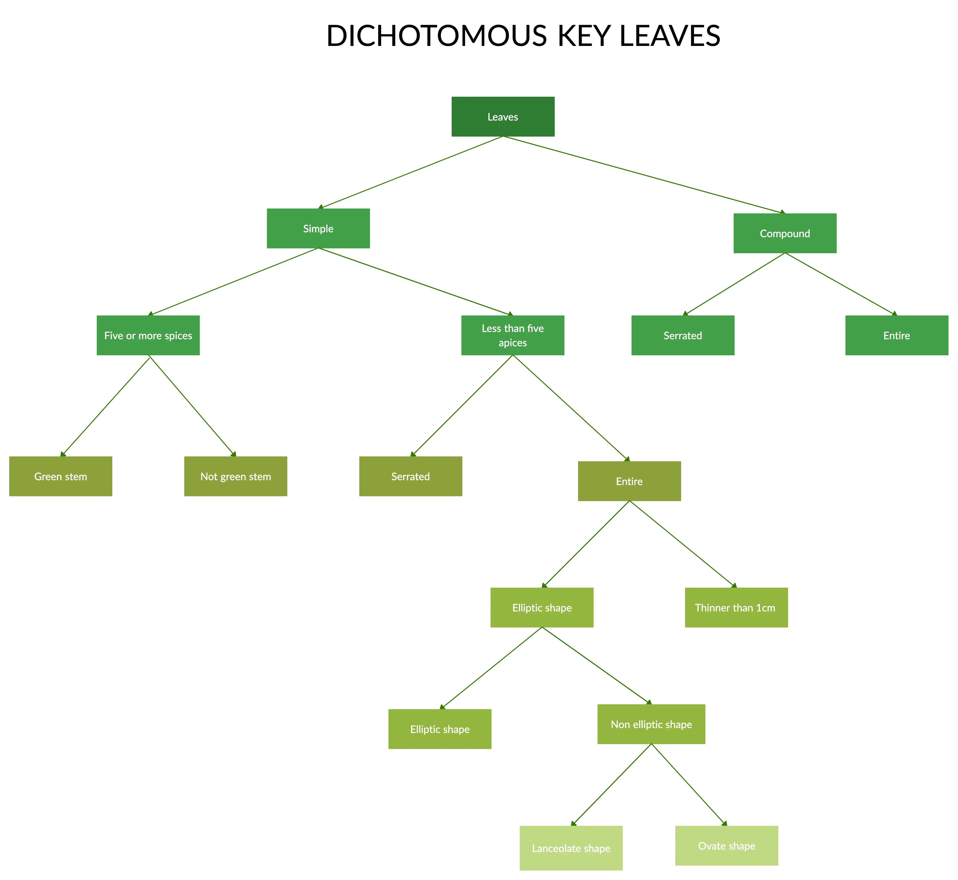 Dive into the world of dichotomous keys with the ultimate answer key ... Dive into the world of dichotomous keys with the ultimate answer key ...