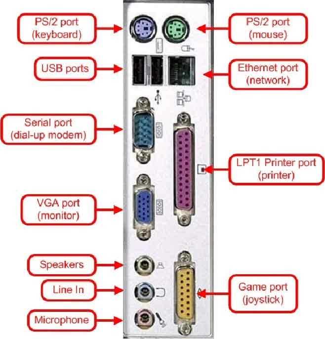 Exploring Lab 6 8 Testing Mode: Identifying Video Ports and Connectors Exploring Lab 6 8 Testing Mode: Identifying Video Ports and Connectors